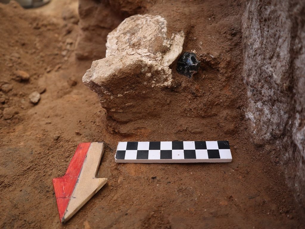 8,500-year-old marble statuette found in Çatalhöyük | Arkeonews
