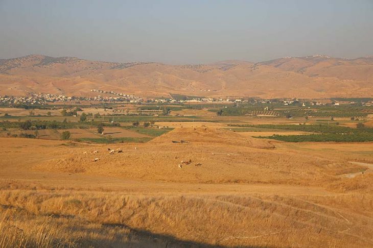 Jordan Valley Reveals Earliest Cotton Use in the Ancient Near East ...
