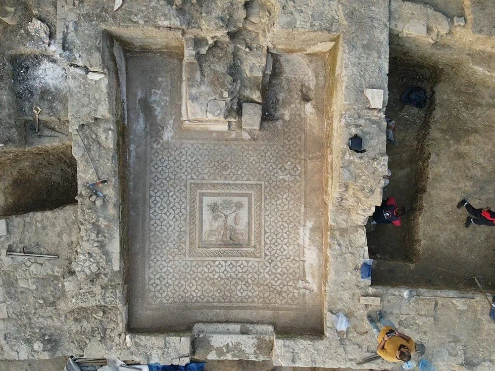 A well-preserved lion mosaic discovered in the Ancient City of Prusias ...