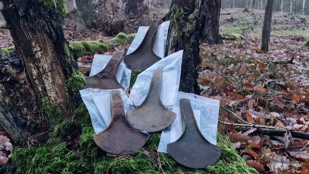 Rare Five Bronze Age Axes Found In The Forests Of Poland Arkeonews