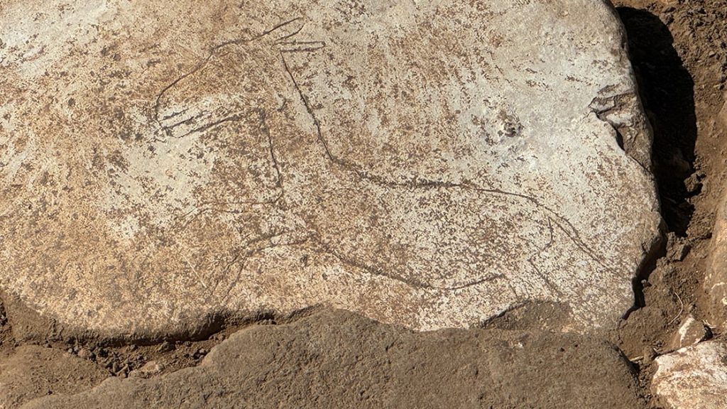 New Discovery at Karahan Tepe: The Figure of a Running Wild Donkey ...