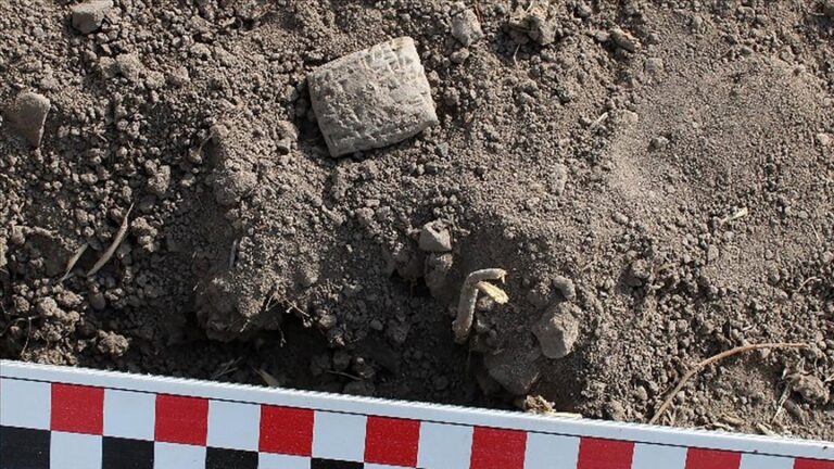 Well-Preserved Hittite "Bird Omen Text" Discovered at Kayalıpınar ...