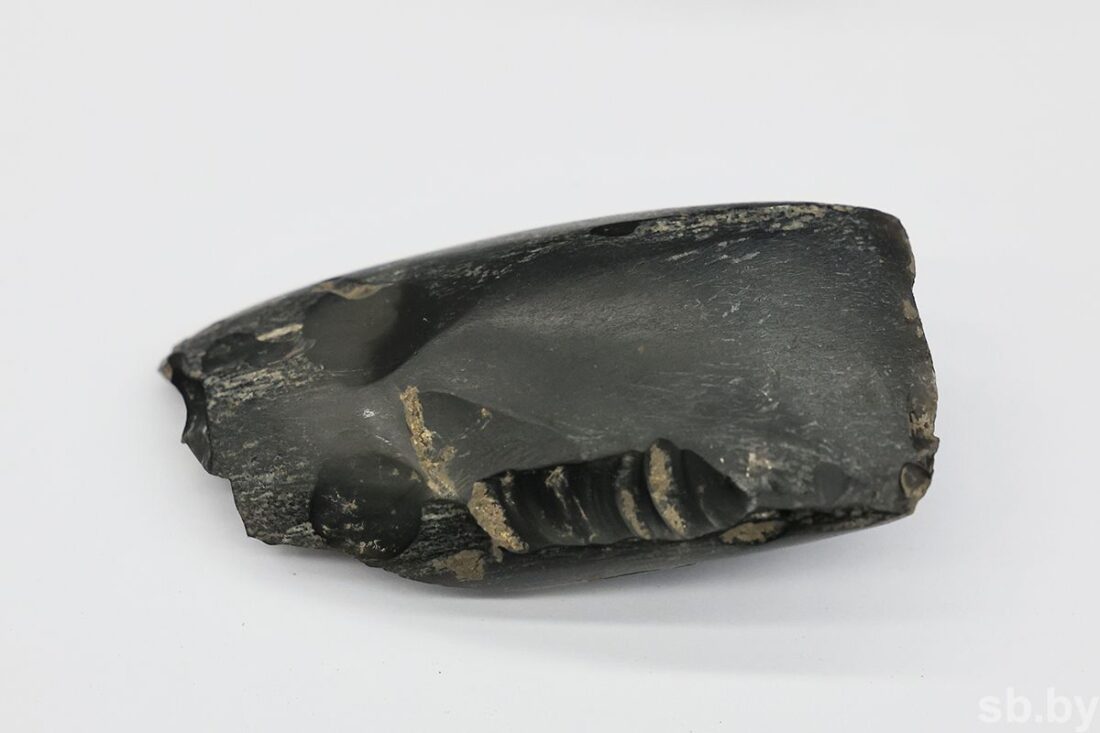 Prehistoric Settlement Unearthed in Ogovo: Remarkable New ...