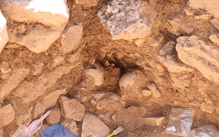 Secrets of the Skull Room: 12 Ancient Human Skulls Unearthed in ...