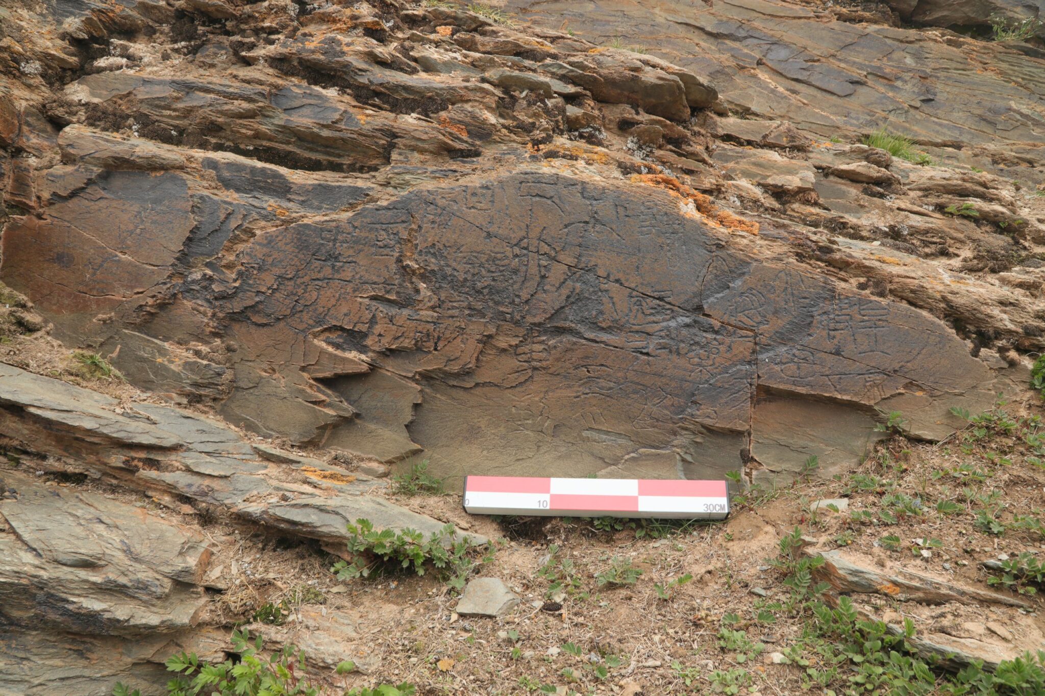 Terracotta Army Emperor’s Quest for Immortality: Tibetan Inscription ...