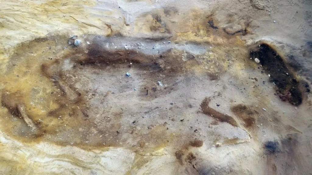 Anglo-Saxon Prince Buried With His Horse Discovered at Sizewell C Site ...