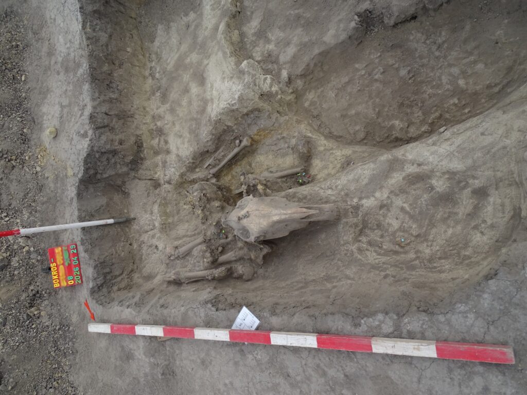 Elite Hungarian Conquest-Era Horseman’s Grave with Rich Grave Goods ...