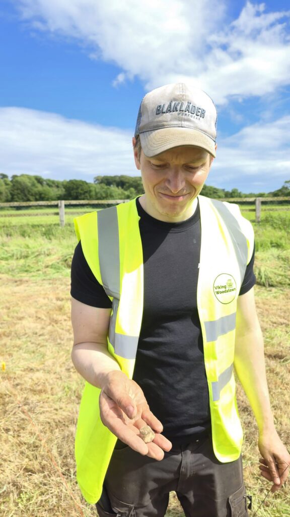 Archaeologists May Have Found Ireland’s Largest Viking Settlement at ...