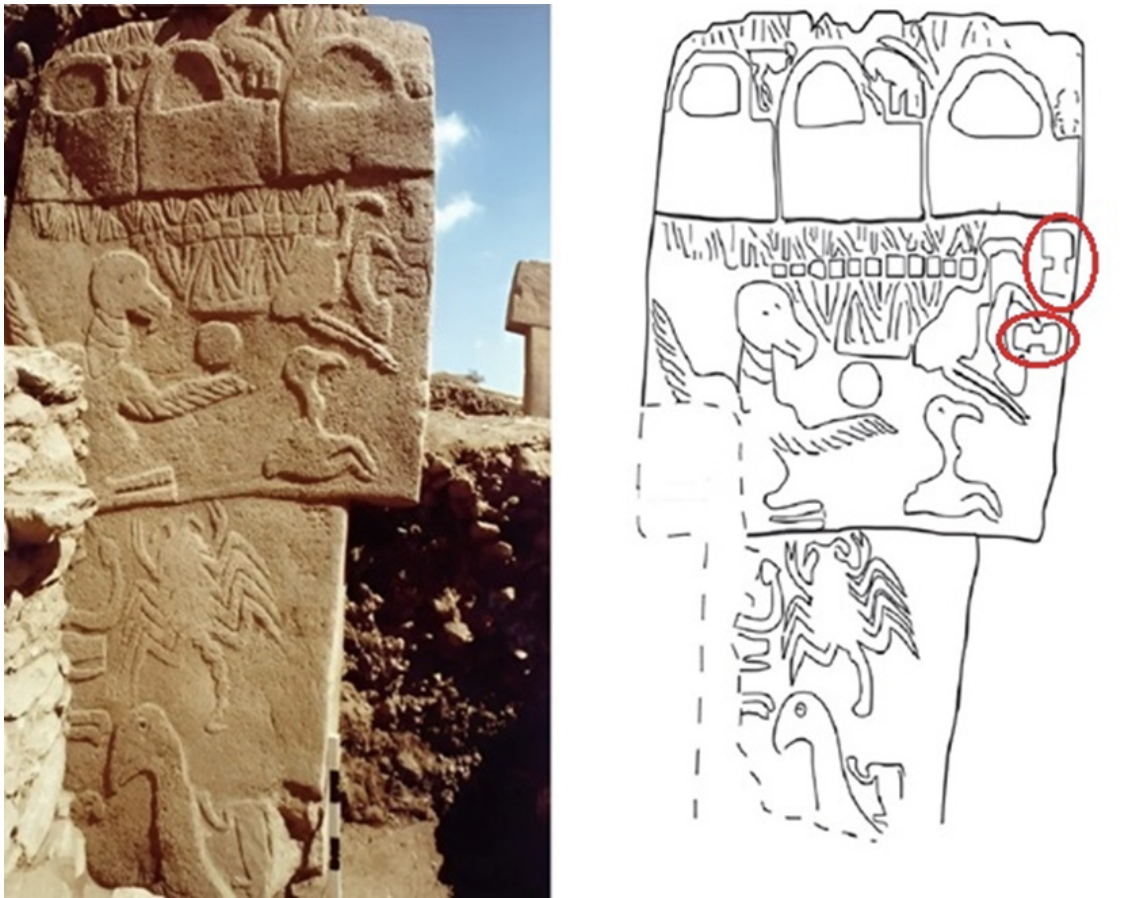 New Study Links Göbekli Tepe’s Vulture Stone to Europe’s Trypillia ...
