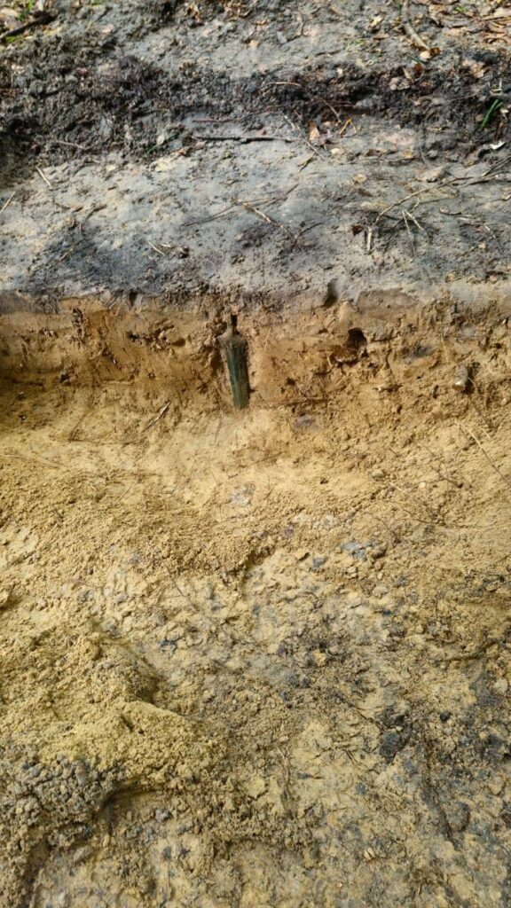 Metal Detectorist Finds Rare 2,700-Year-Old Bronze Sword Buried Upright ...